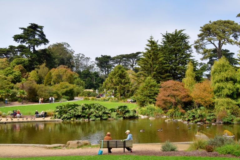 Golden Gate Park Parking in 2022 [The Best Guide + Tips]